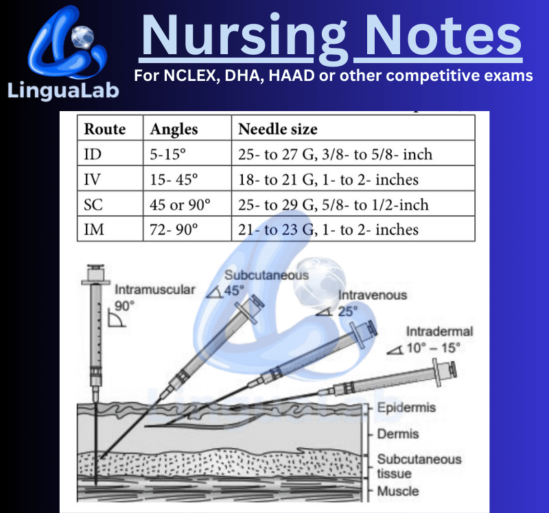 A Comprehensive Guide to Needle Sizes, Injection Routes, and Angles for ...