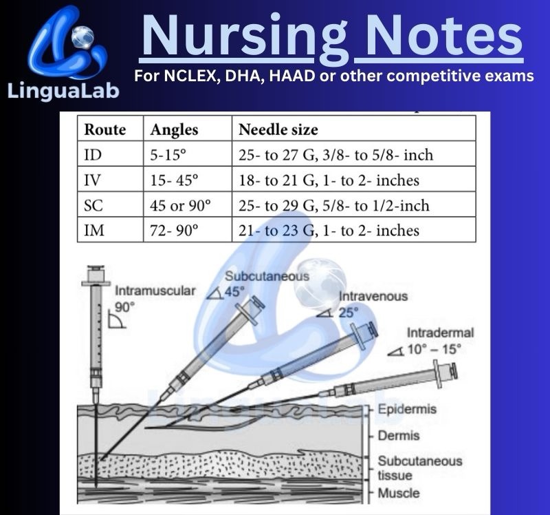 A Comprehensive Guide to Needle Sizes, Injection Routes, and Angles for ...