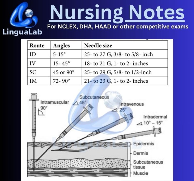 A Comprehensive Guide to Needle Sizes, Injection Routes, and Angles for ...